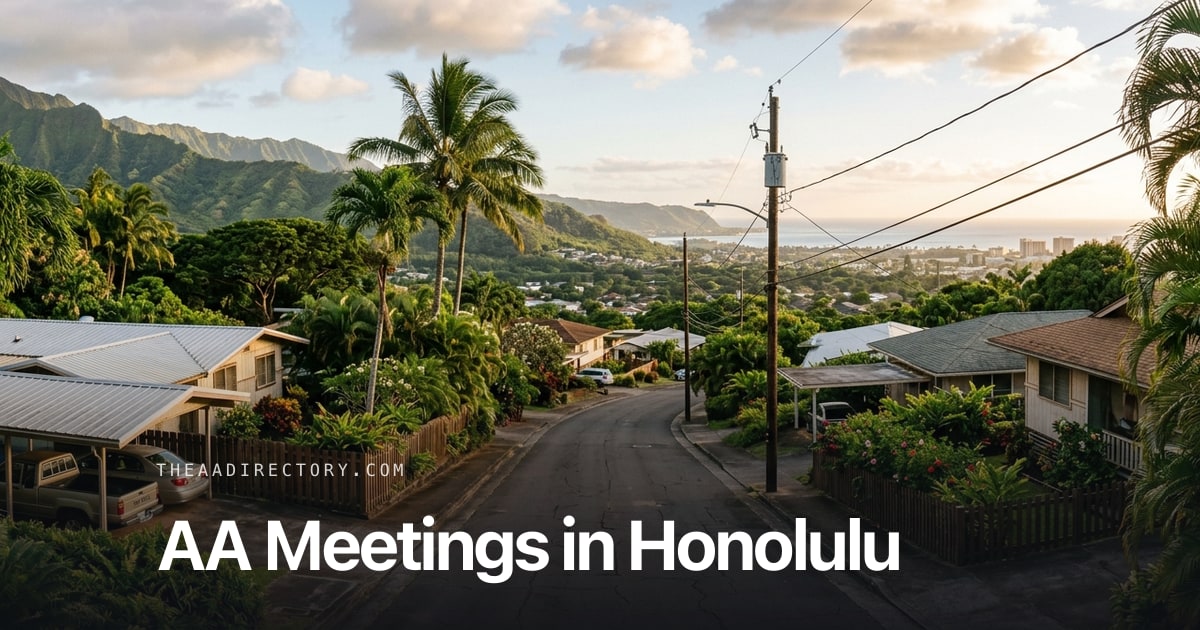 167 AA Meetings in Honolulu, HI: Times & Schedule
