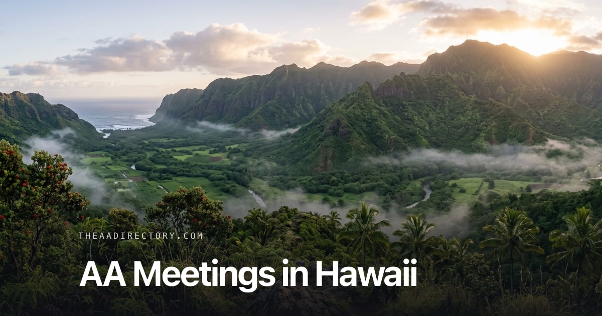 328 AA Meetings in Hawaii | 47 Cities