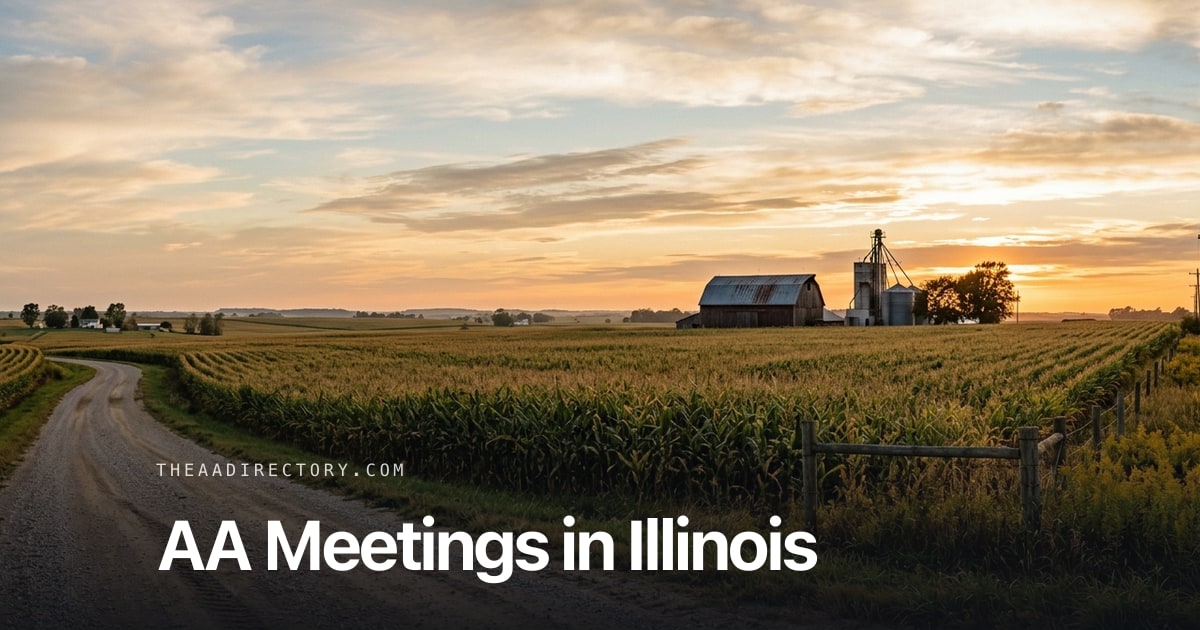 3,054 AA Meetings in Illinois | 432 Cities
