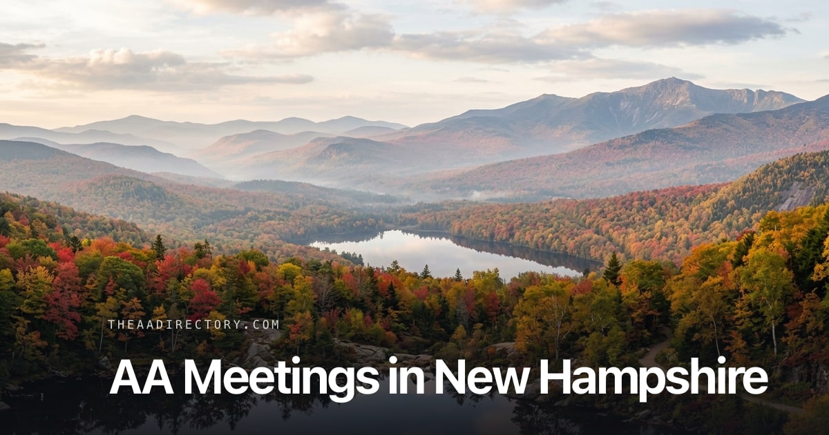 486 AA Meetings in New Hampshire | 121 Cities