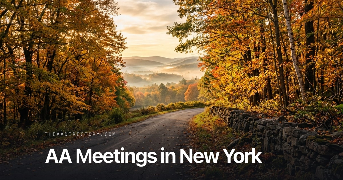 3,728 AA Meetings in New York | 740 Cities